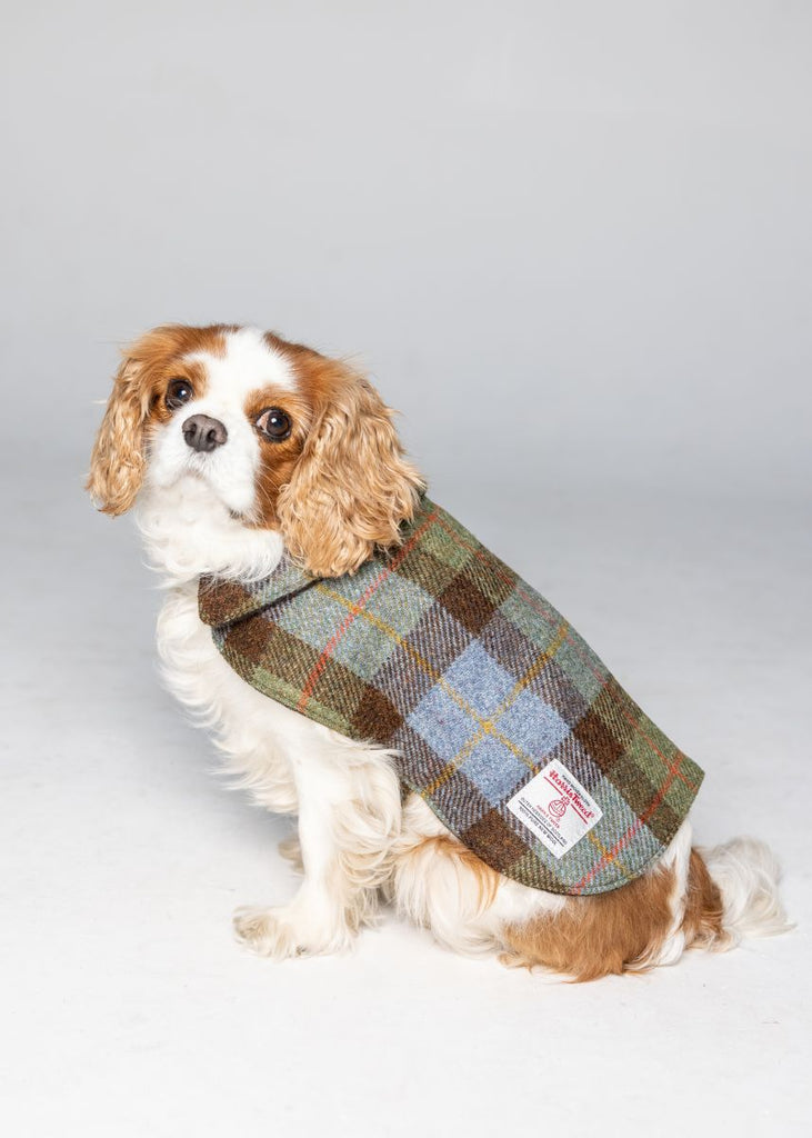 Harris Tweed Dog Coat - 8 Colours | Scotland Kilt Co US