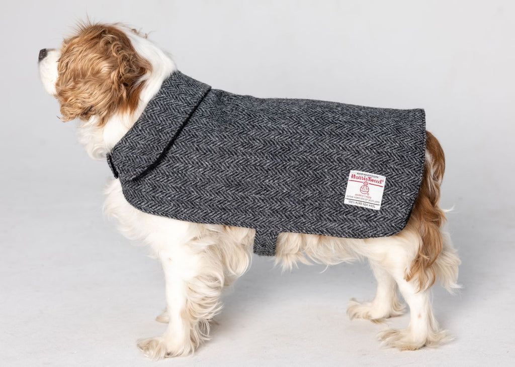 Harris Tweed Dog Coat - 8 Colours | Scotland Kilt Co US